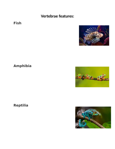 IB Biology (SL) Topic 5: Evolution and Biodiversity (Complete ...