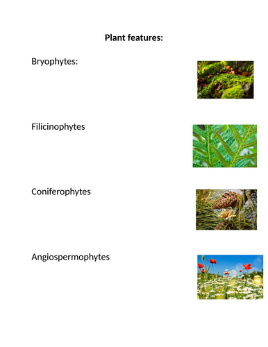 IB Biology (SL) Topic 5: Evolution and Biodiversity (Complete ...