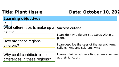 Plant tissues | Teaching Resources