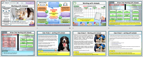 Careers: Working with Animals | Teaching Resources