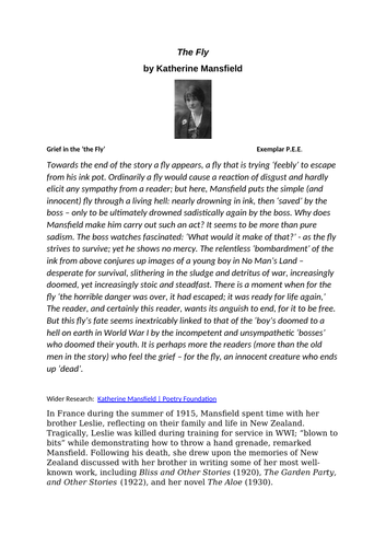 'The Fly' by Katherine Mansfield | Teaching Resources