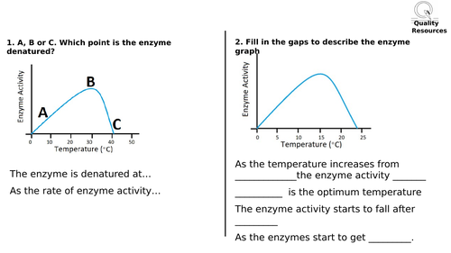 SEN/Low Ability GCSE Describing Enzyme GraphsWorksheets | Teaching ...