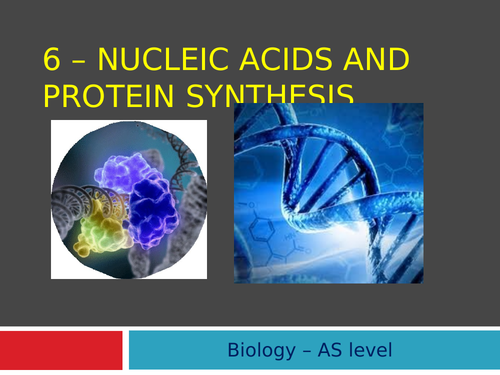 AS level - CIE - chapter 6 - Nucleic Acids | Teaching Resources