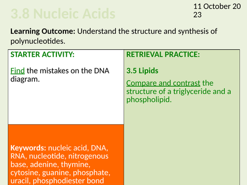 OCR Biology A- 3.8 Nucleic Acids | Teaching Resources