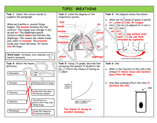 Breathing assessment | Teaching Resources