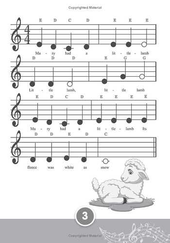 Super Easy Keyboard for Kids. Learn How to Transpose | Teaching Resources