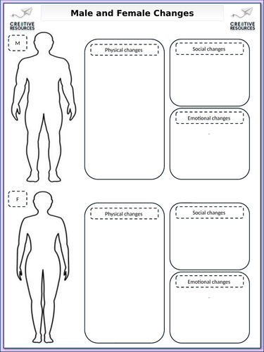 Puberty & Body Development - PSHE Unit | Teaching Resources