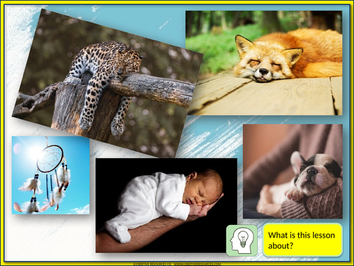 Managing Change + Transition PSHE Unit | Teaching Resources Managing Change + Transition PSHE Unit | Teaching Resources