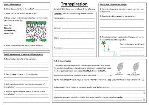SB6d - Transpiration A3 sheet (Edexcel Single Biology GCSE) | Teaching ...