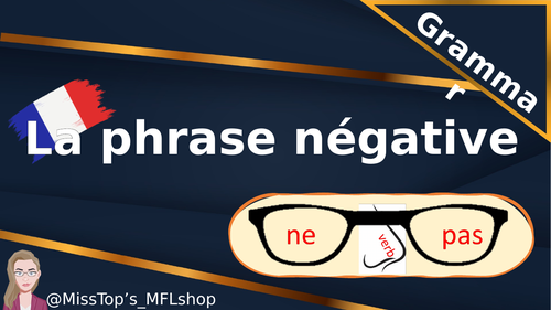 French Grammar - Negative sentence / la négation | Teaching Resources