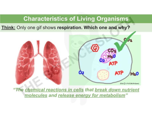 Characteristics of Living Things - MRS GREN, Course Info and Effective ...