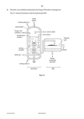 Biotechnology and Genetic Modification - Past Paper Question Pack ...