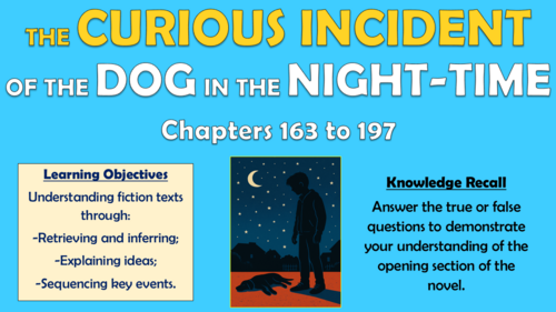 The Curious Incident of the Dog in the Night-time - Lesson Bundle ...