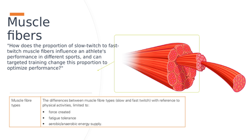 The Skeletal and Muscular system IGCSE PE CIE | Teaching Resources
