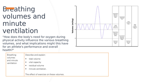 The Respiratory system IGCSE PE CIE Physical Education | Teaching Resources