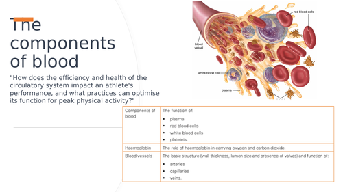 The Circulatory System IGCSE PE CIE Physical Education | Teaching Resources