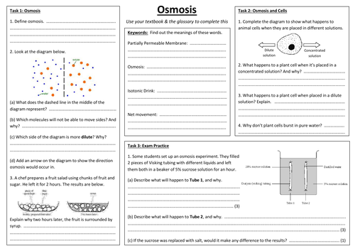 SB1i - Osmosis A3 sheet (Edexcel Single Biology GCSE) | Teaching Resources