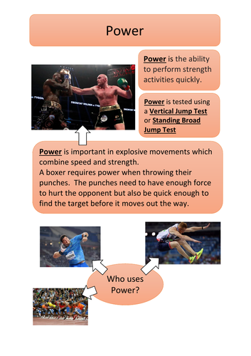 Components of Fitness Poster/Fact Sheets | Teaching Resources