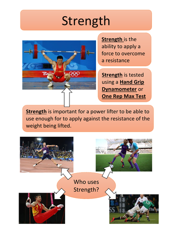 Components of Fitness Poster/Fact Sheets | Teaching Resources