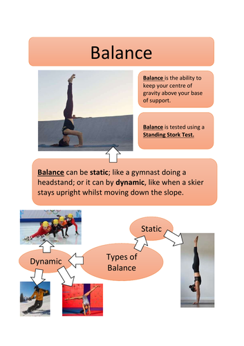 Components of Fitness Poster/Fact Sheets | Teaching Resources