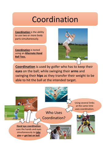 Components of Fitness Poster/Fact Sheets | Teaching Resources