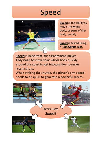 Components of Fitness Poster/Fact Sheets | Teaching Resources