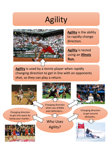 Components of Fitness Poster/Fact Sheets | Teaching Resources