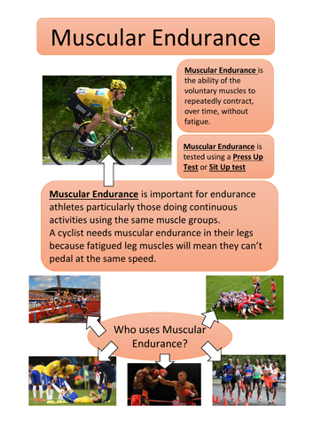 Components of Fitness Poster/Fact Sheets | Teaching Resources