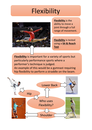 Components of Fitness Poster/Fact Sheets | Teaching Resources