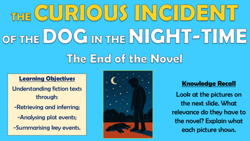 The Curious Incident of the Dog in the Night-time - Lesson Bundle ...