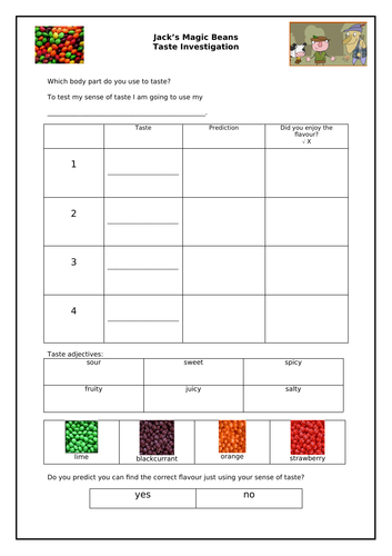 Jack's Magic Beans Taste Investigation | Teaching Resources