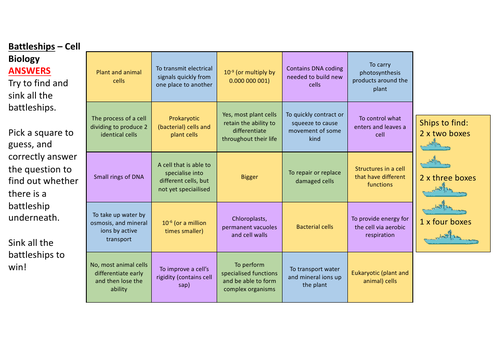Cell Biology Battleships | Teaching Resources