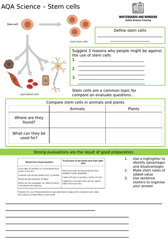 AQA - Cell Biology - Stem Cells | Teaching Resources