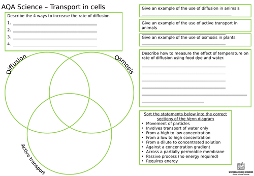 AQA - Cell Biology - Transport in Cells | Teaching Resources