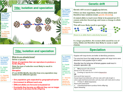 Isolation and speciation - AQA A Level Biology (A2) -18. Populations ...