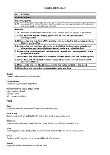 Crossword And Keyword Definitions List Endocrine System Double Teaching Resources 