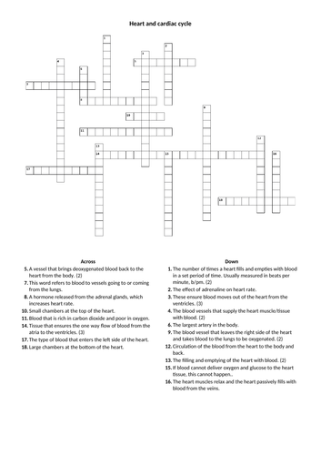 Crossword and keyword definitions list: Heart and cardiac cycle ...
