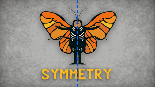Symmetry Powerpoint Presentation (PPT)/Lesson/ 22 Slides | Teaching ...