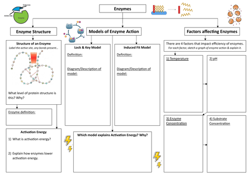 Enzymes Summary Sheet - Edexcel A SNAB Biology; Topic 2 (AS) | Teaching ...