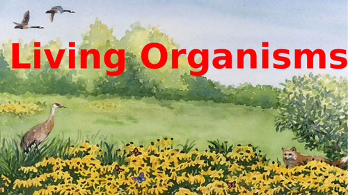 Living Organisms Powerpoint | Teaching Resources