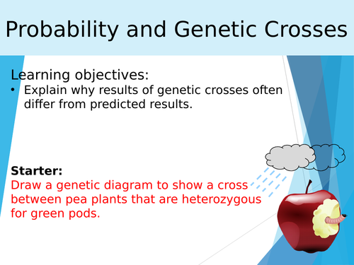 AQA A Level Biology 17.3 Probability and Genetic Crosses | Teaching ...