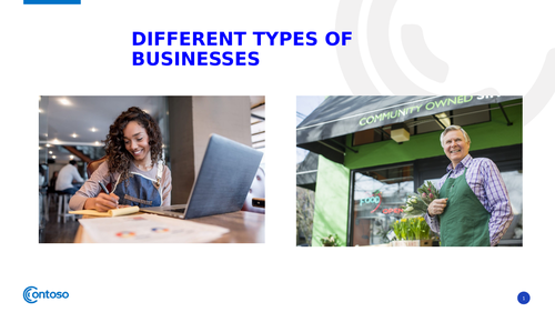 Lesson 2 'Different Types of Businesses' | Teaching Resources