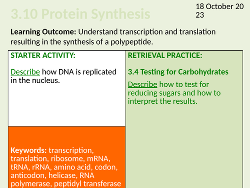 OCR Biology A- 3.10 Protein Synthesis | Teaching Resources