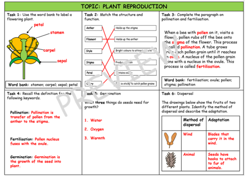 Plant reproduction assessment | Teaching Resources