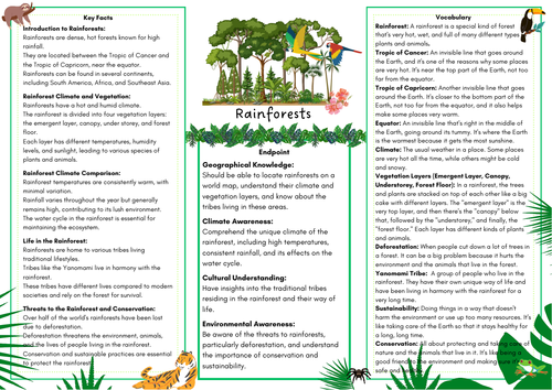 Rainforests Knowledge Organiser | Teaching Resources