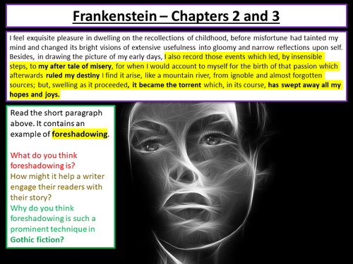 Frankenstein Chapter 3 | Teaching Resources