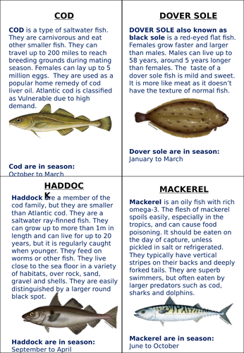 KS3 or KS4 Food and Nutrition Preparation: Seasonal Foods | Teaching ...