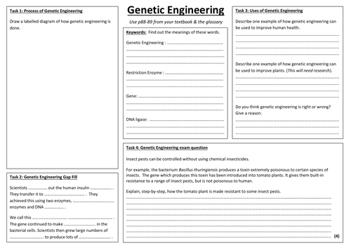 SB4g - Genetic Engineering A3 sheet (Edexcel Single Biology GCSE ...