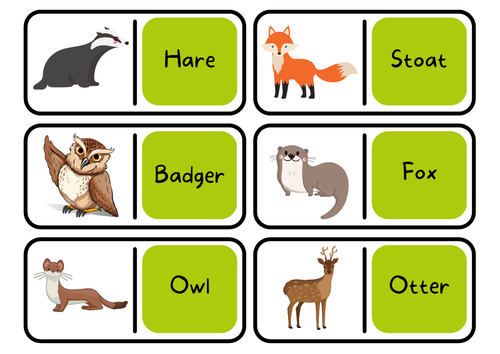 Woodland Wildlife Domino Game | Teaching Resources