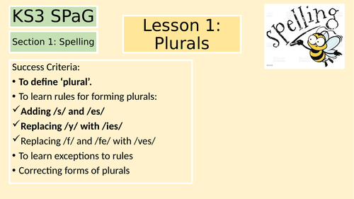 Key Stage 3 SPaG CGP Workbook Lessons HUGE SAVING | Teaching Resources